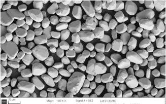 Anilox Roll Coating | Coating Solutions